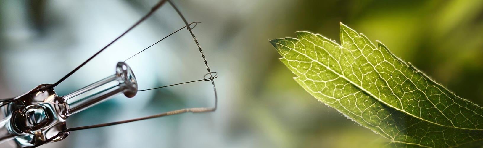 Home - AA Certification