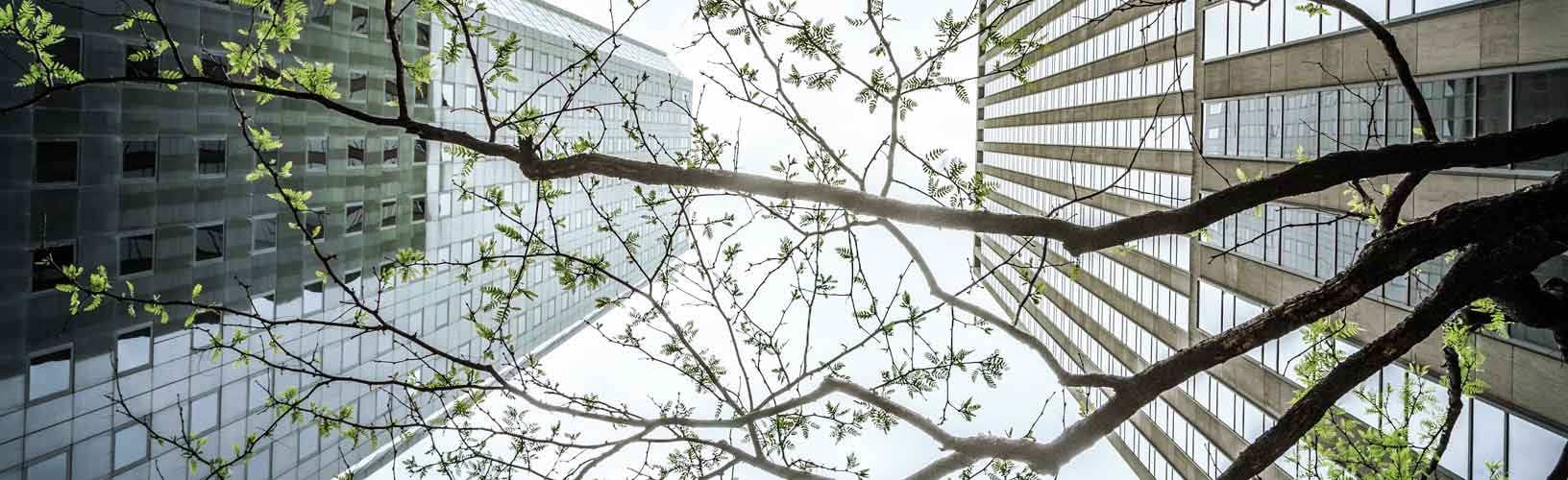 Home - AA Certification